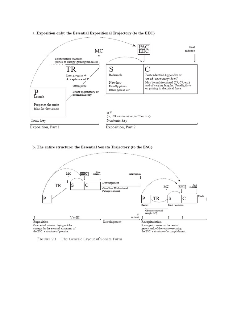 Schema Della Sonata (H. & D.) | PDF | Elements Of Music | Musical Keys