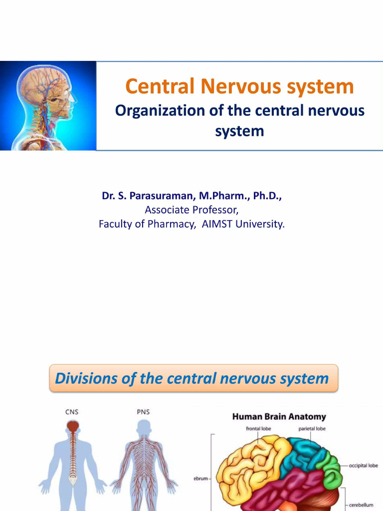 Central Nervous System Eknnor | PDF
