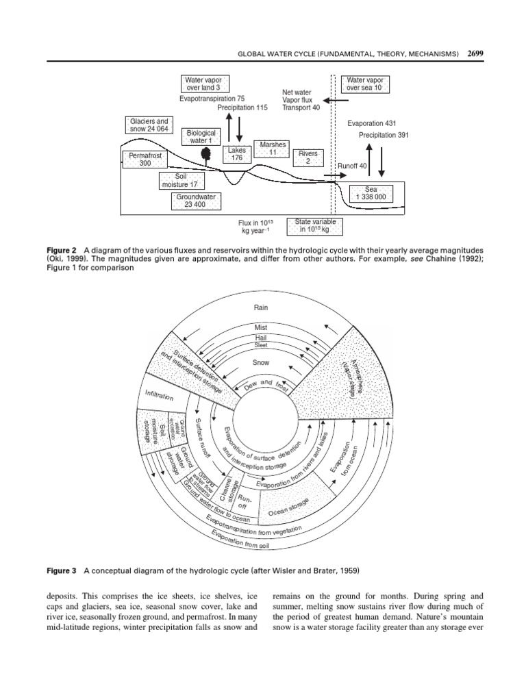 Understanding the H2O Cycle Dynamics | PDF