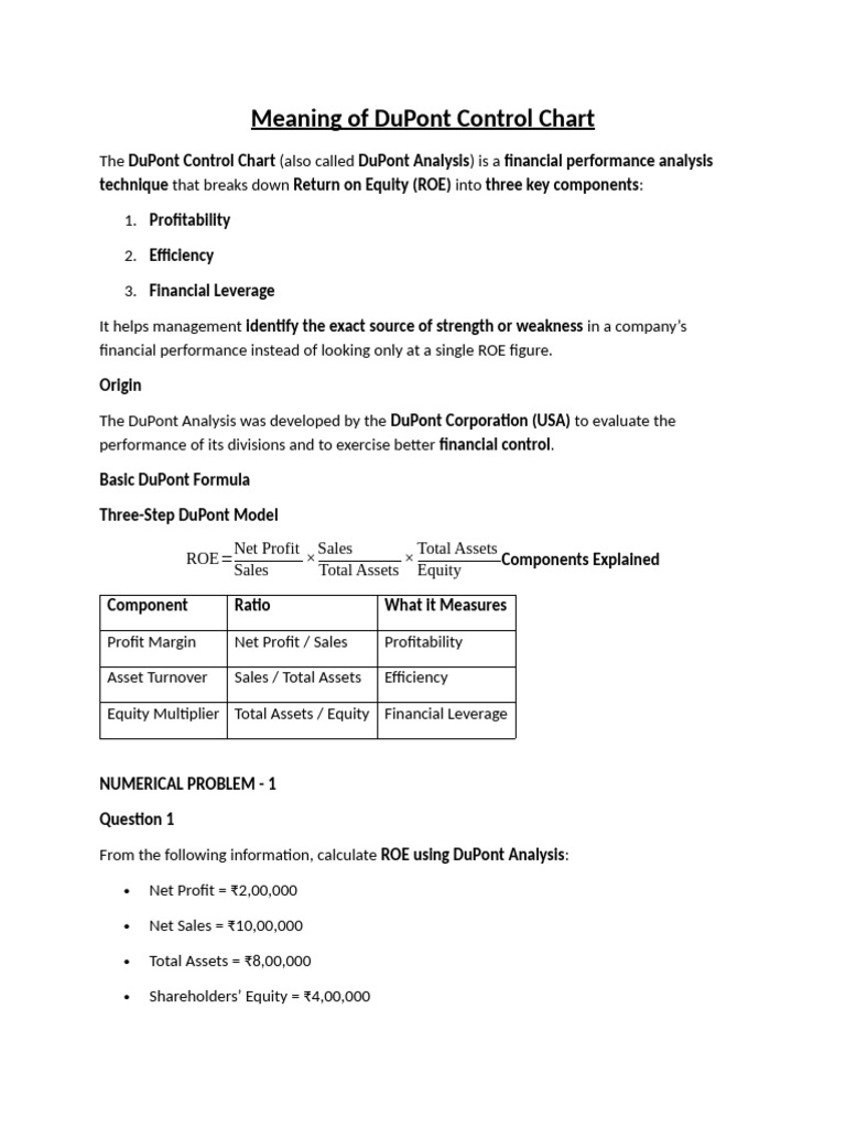 DUPONT CONTROL CHART (DuPont Analysis) | PDF | Return On Equity ...