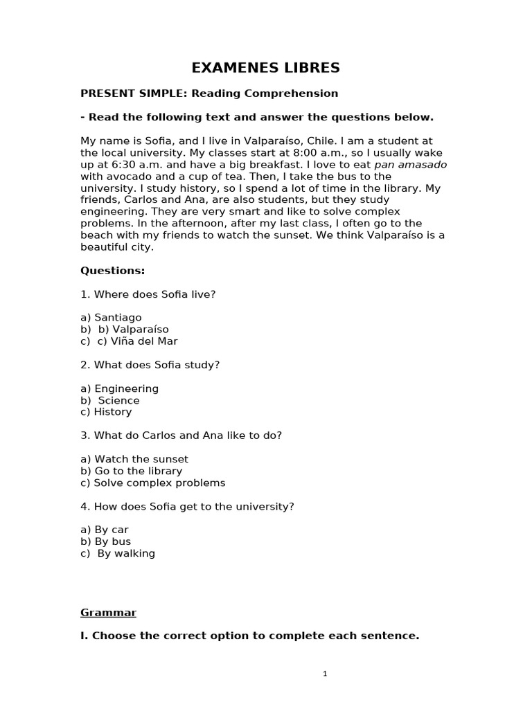 Mi Ensayo Examen Libre Reading Comprehension | PDF | Meal | Linguistics