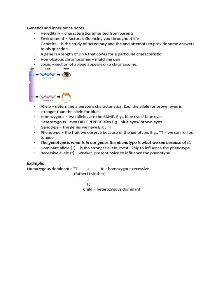 Genetics and Inheritance Notes | PDF