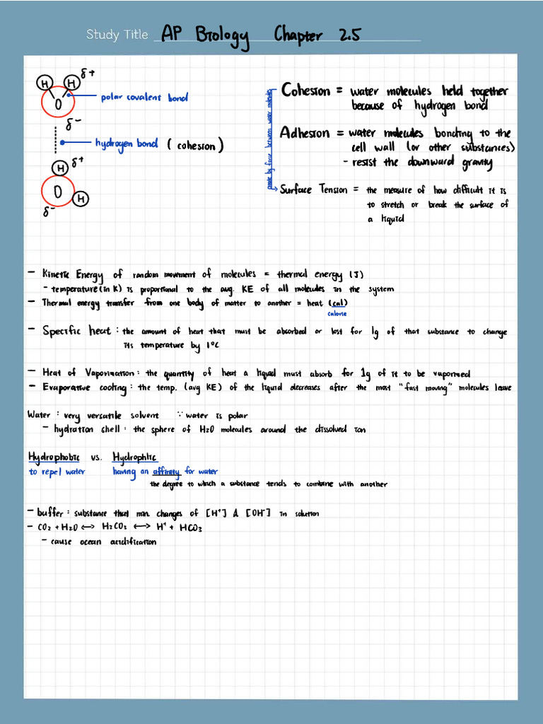 Abradacabra Biology AP Notes | PDF