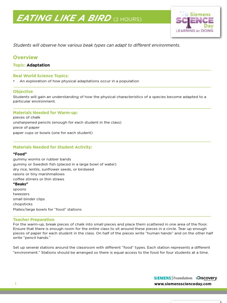 Eating Like A Bird: (2 Hours) | PDF