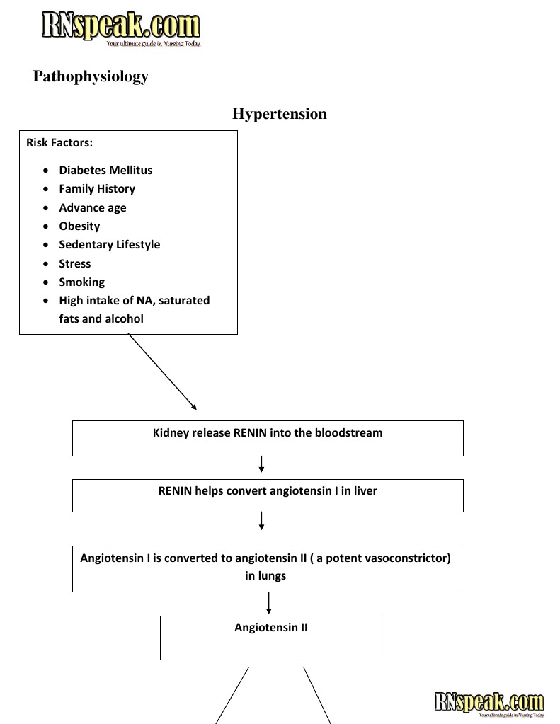 Hypertension Pathophysiology