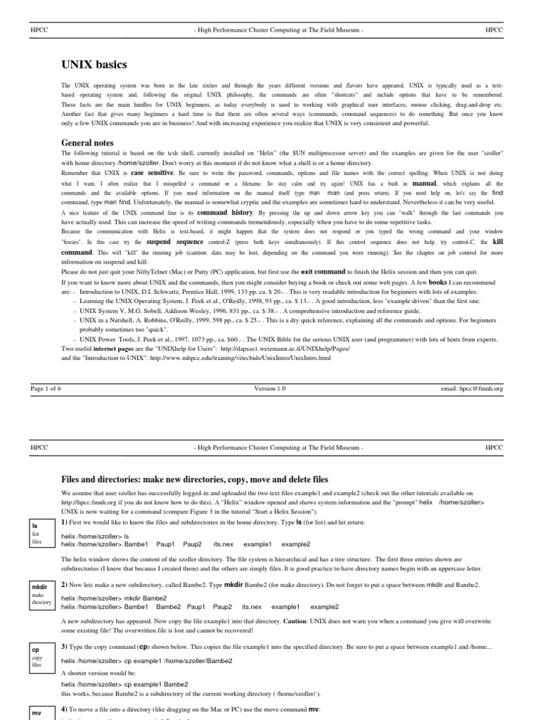 UNIX Basics: General Notes | PDF