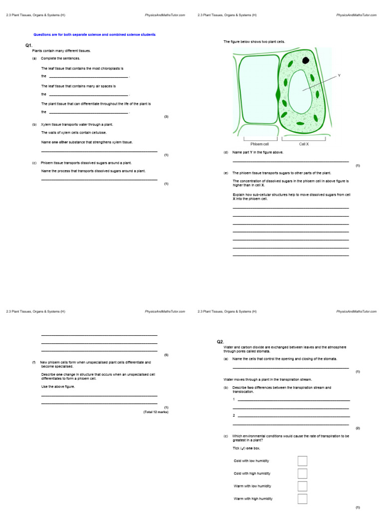 2.3 Plant Tissues, Organs & Systems (H) QP - AQA Biology GCSE | PDF ...