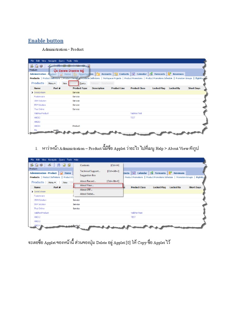 Siebel Enable Button Delete | PDF