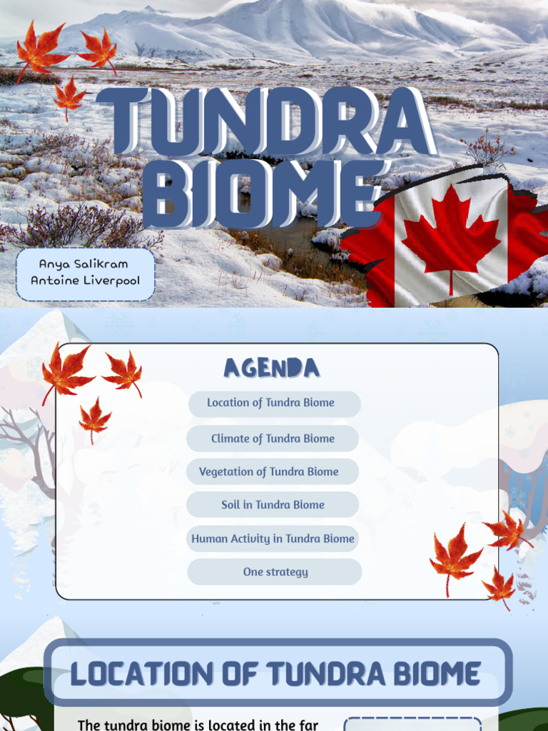 Tundra Presentation GEO | PDF | Arctic | Natural Environment