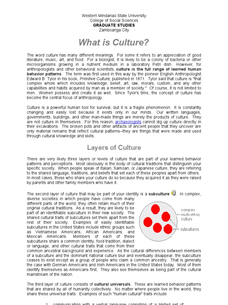Culture | PDF | Human | Traditions