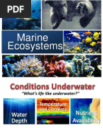 Sandy Beach Ecosystems Explained | PDF | Beach | Coast