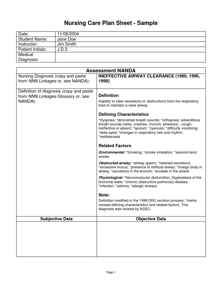Nursing Care Plan Sheet Sample | Respiratory Tract | Respiratory Diseases