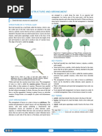 Constructing a Leaf Dichotomous Key | PDF | Leaf | Branches Of Botany