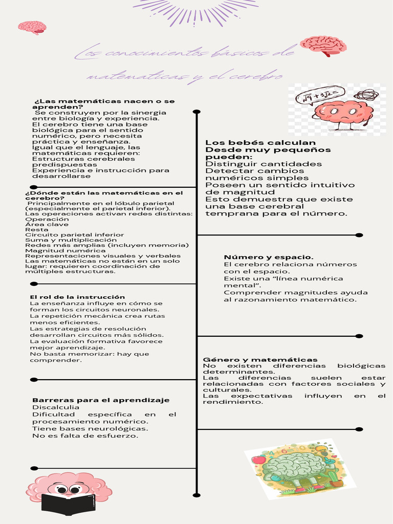 Los Conocimientos Básicos de Matematicas y El Cerebro - 20260221 ...