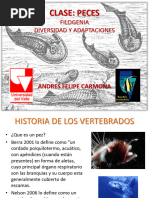 Características de los Sarcopterigios | PDF | Pescado | Vertebrados ...