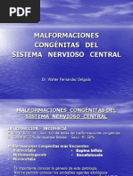 Deterioro Rostrocaudal: Etiología | PDF | Medicina | Sistema nervioso