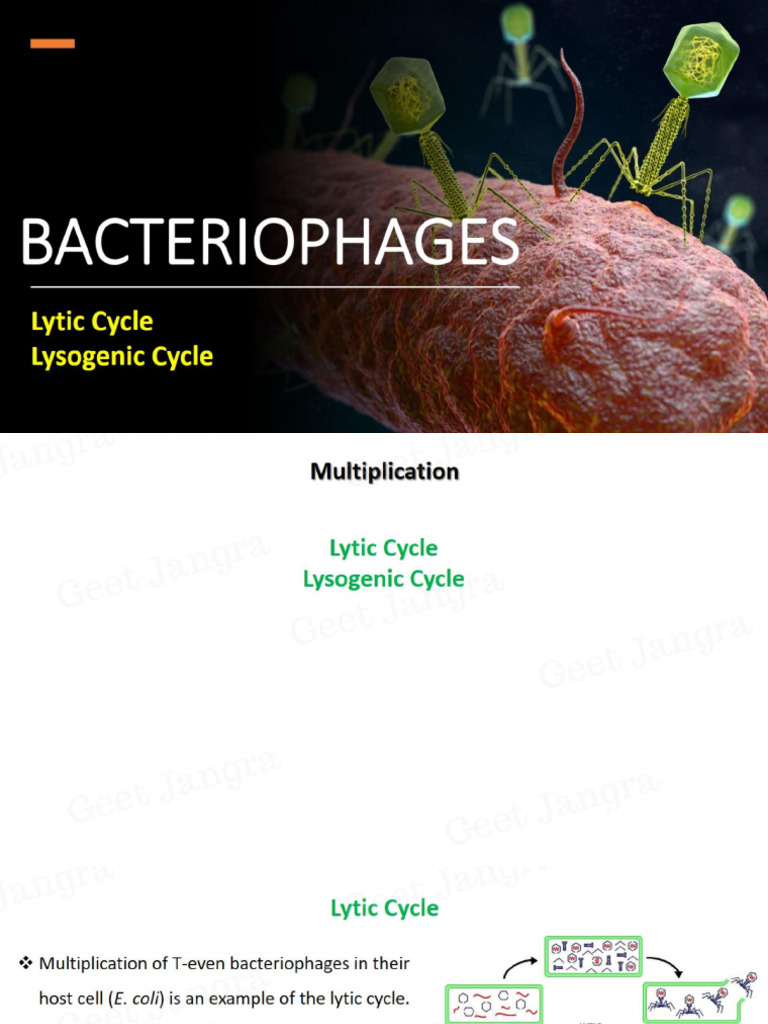 Lytic Cycle and Lysogenic Cycle | PDF