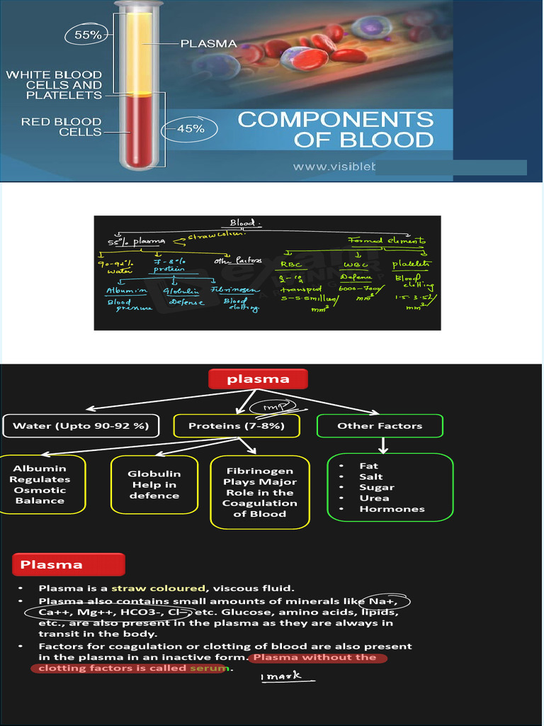 1 Biology Body Fluids and Circulation Oneshot Note | PDF | Heart ...