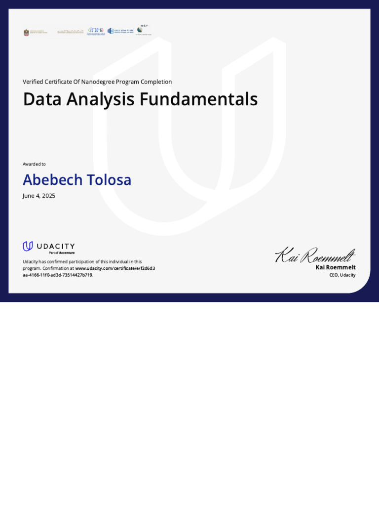 Digital Abebech | PDF