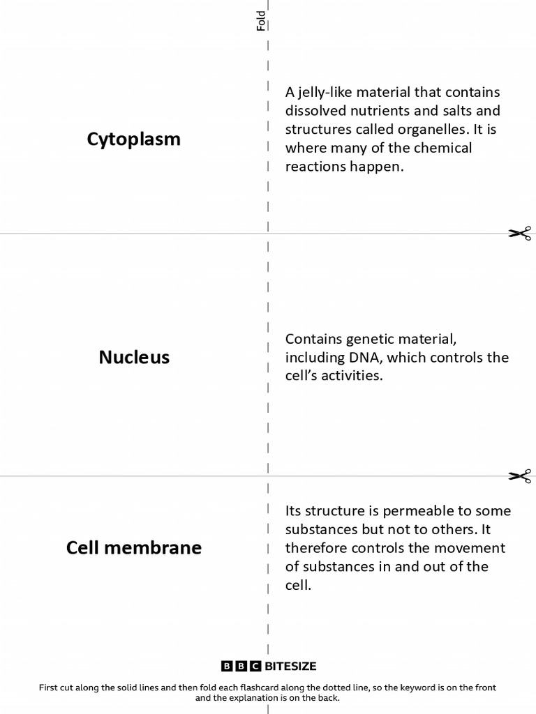 Topic 1 Flashcards Cells | PDF | Cell (Biology) | Cytoplasm