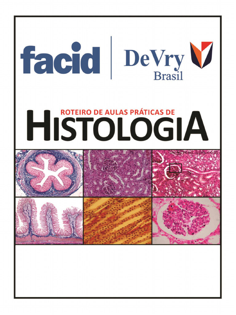 Roteiro Histologia Profa Isidra Facid Devry 07.08.14 ---Ok | PDF | Osso ...