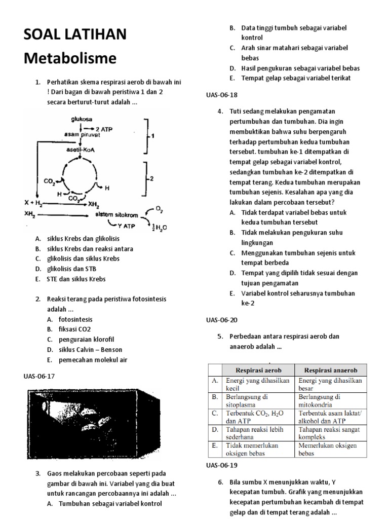 SOAL LATIHAN Metabolisme | PDF