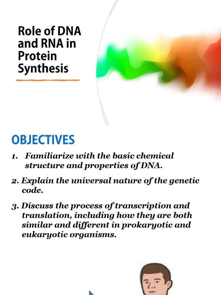 Lesson 1 Molecular Genetics Protein Synthesis | PDF | Translation ...