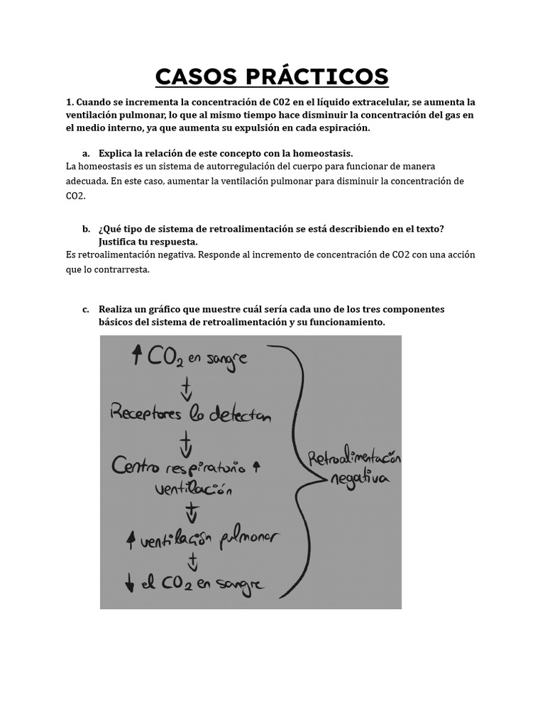 Casos Prácticos - Irene Contreras | PDF