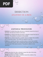 Toad External Anatomy Diagram | PDF | Vertebral Column | Vertebra