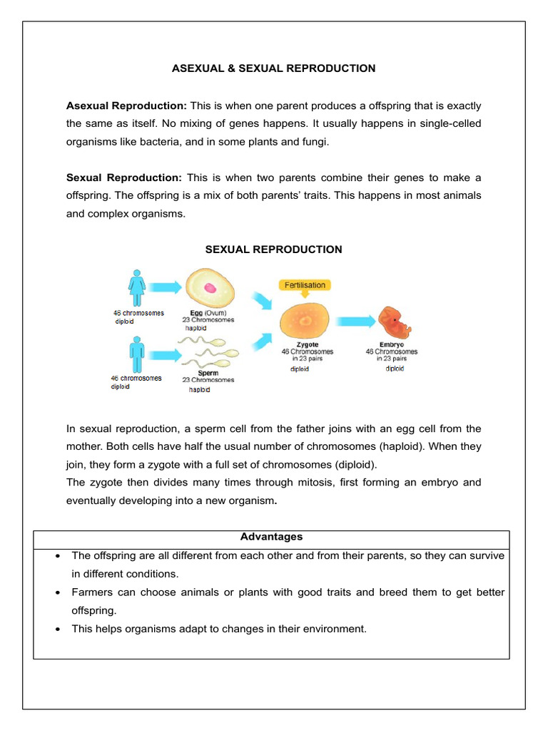 Notes On Asexual Vs Sexual Reproduction | PDF | Sexual Reproduction ...