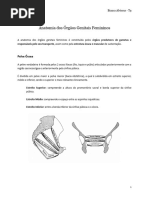Tipos de Pelve e Suas Características | PDF