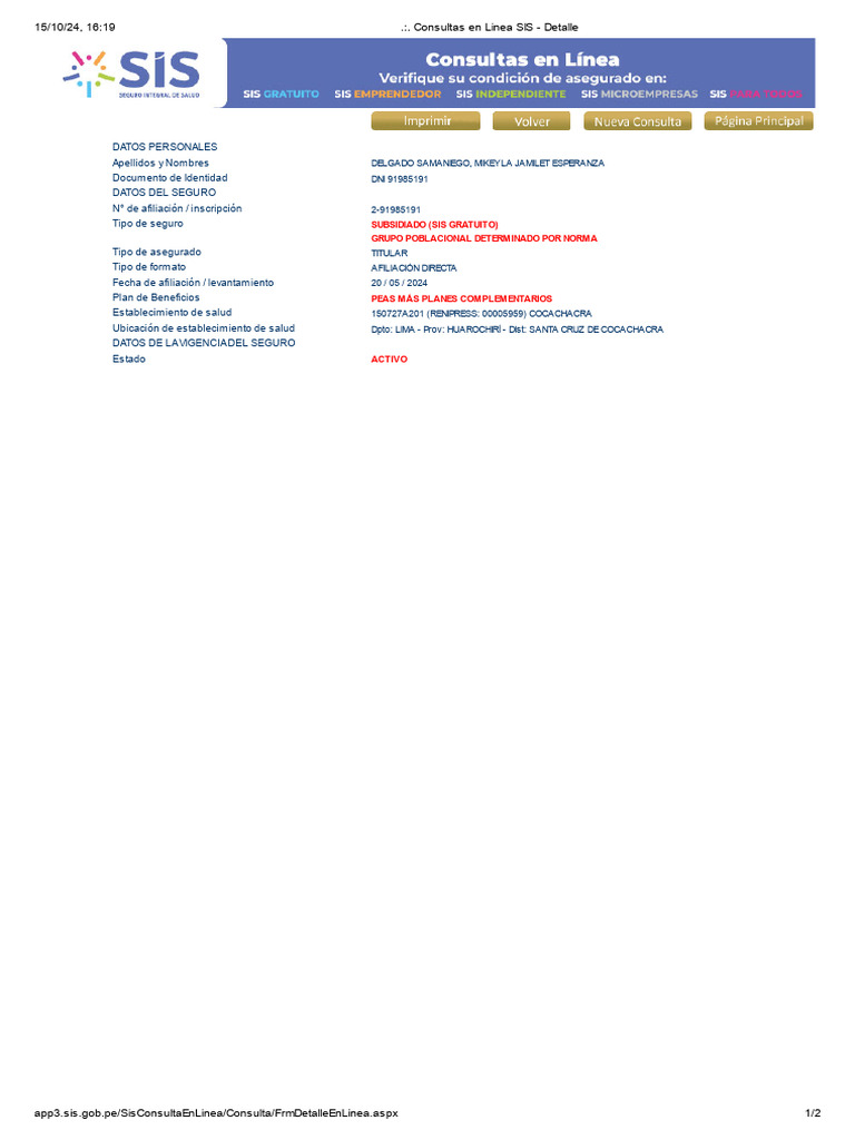 Consultas en Linea SIS - Detalle | PDF