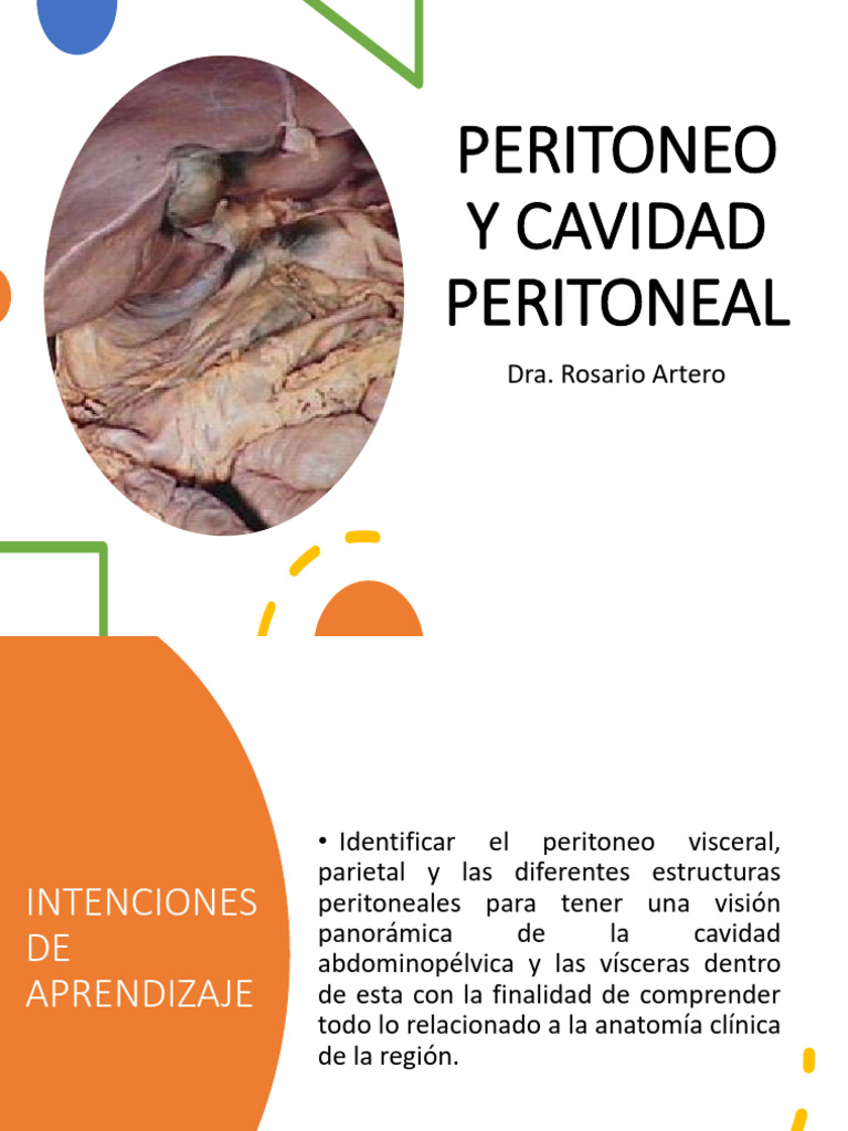 Peritoneo y Cavidad Peritoneal 2025 | PDF | Abdomen | Peritoneo