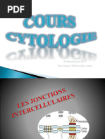 Classification des jonctions cellulaires | PDF | Membrane cellulaire ...