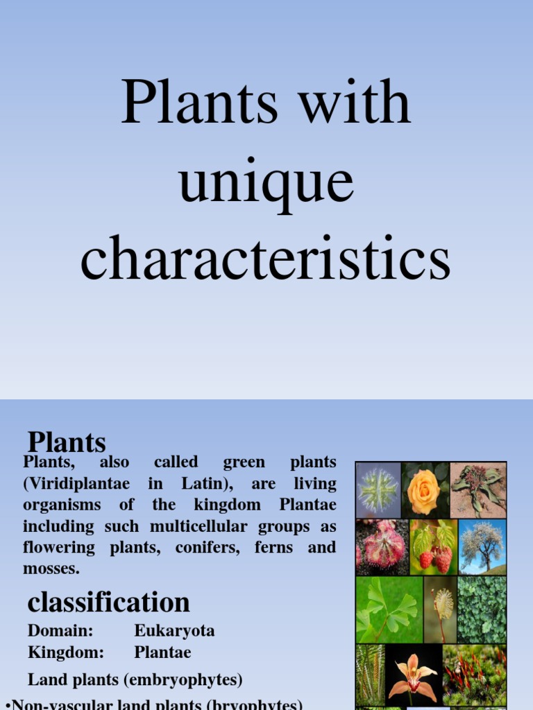 Unique Characteristics of Plants | PDF | Plants | Flowers
