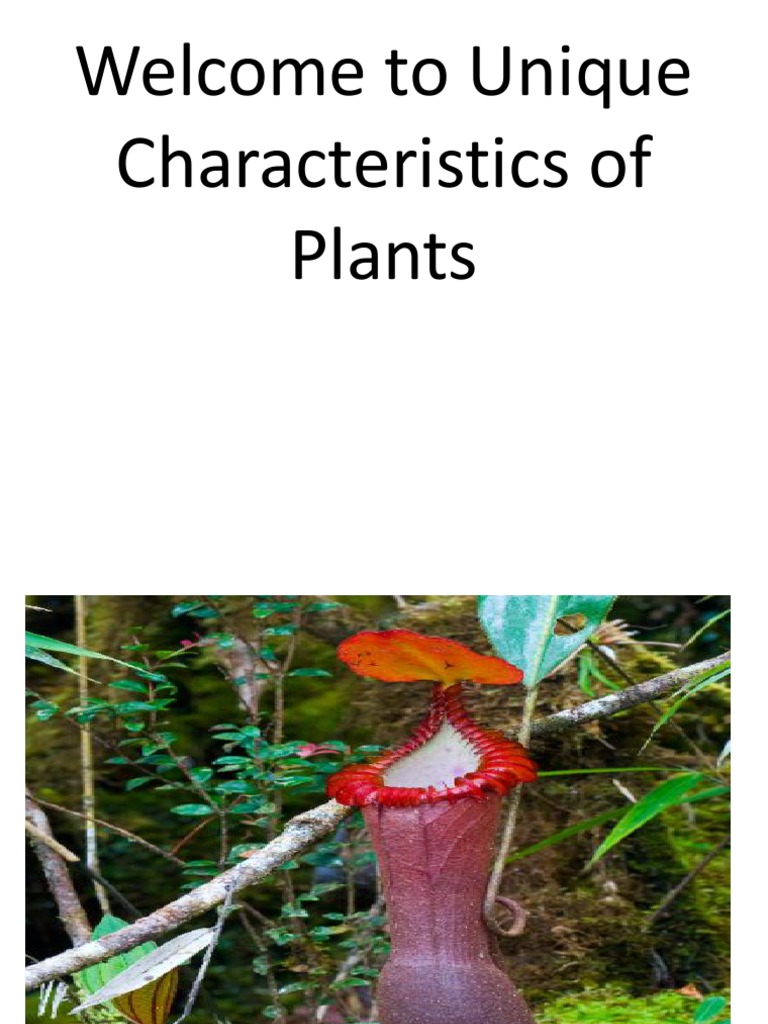 Unique Characteristics of Plants | PDF | Organisms | Plants