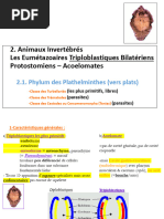 Introduction aux Plathelminthes | PDF | Biologie