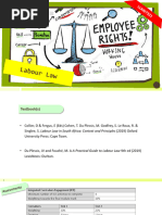Understanding Individual Labour Law in SA | PDF | Equal Opportunity ...
