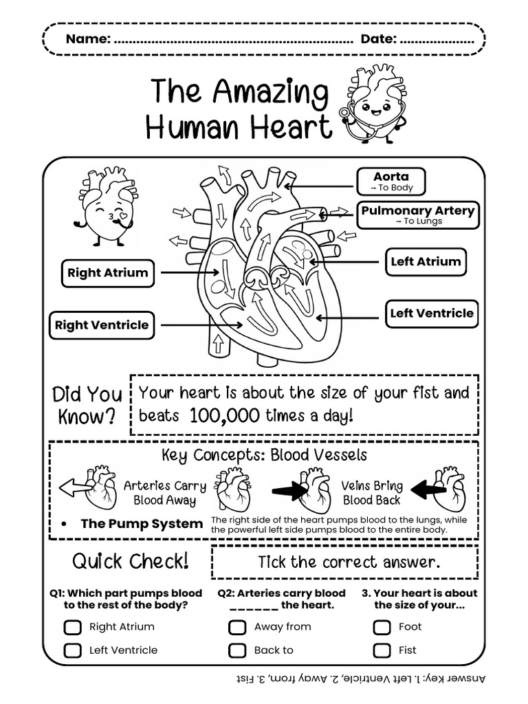 The Amazing Human Heart: Did You Know? 100,000 | PDF