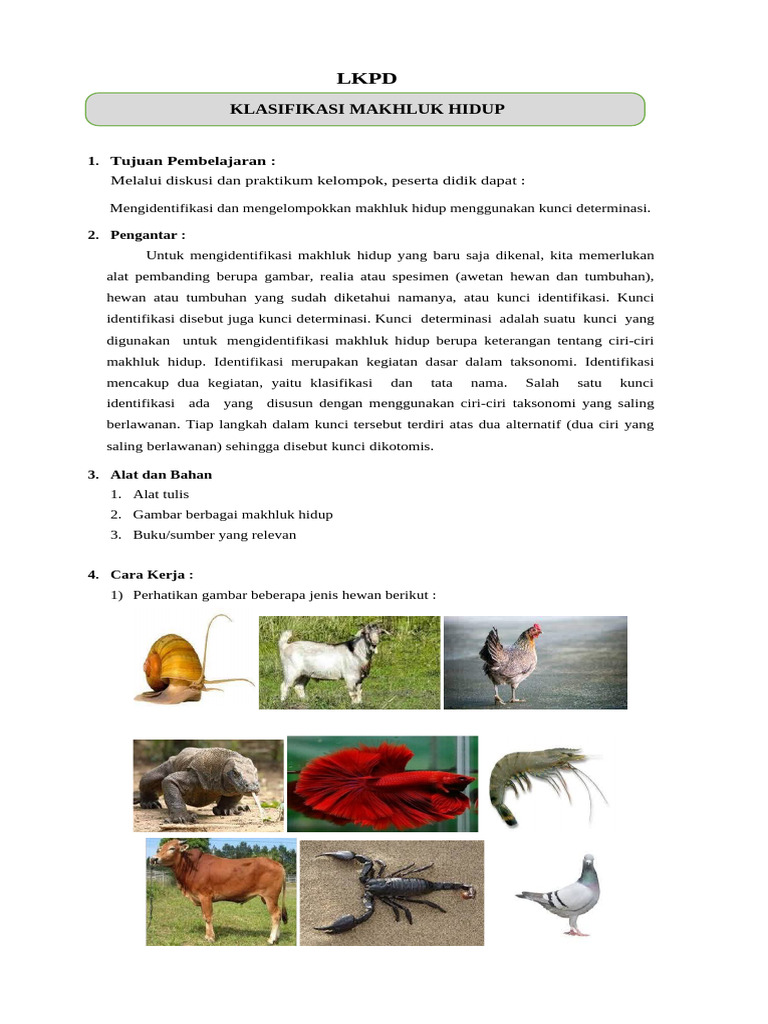 LKPD Kunci Determinasi - Siswa | PDF