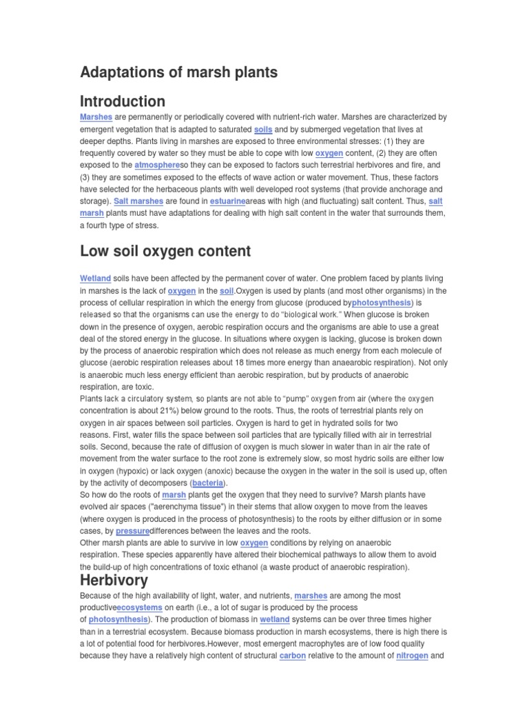 Adaptations of Marsh Plants | PDF | Marsh | Cellular Respiration