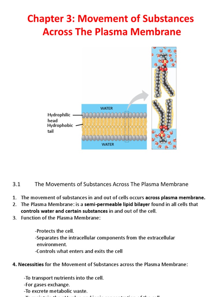 Chapter 3: Movement of Substances Across The Plasma Membrane | PDF ...