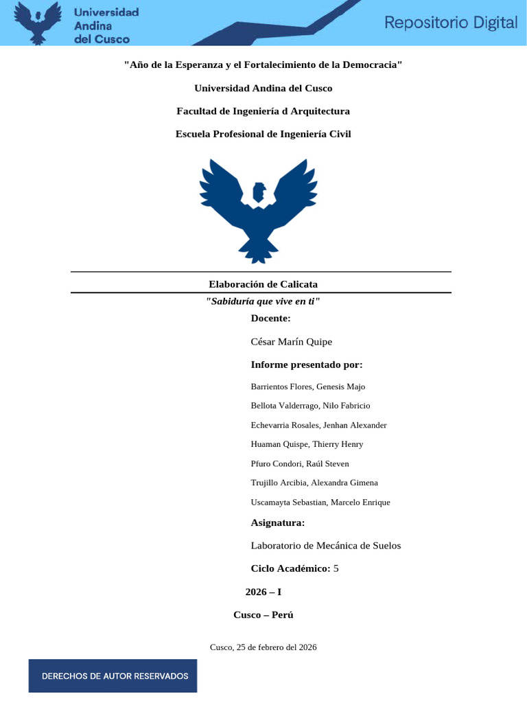 Elaboración de Calicata | PDF | Fundación (Ingeniería) | Laboratorios