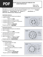 BSc 1st Year Botany Practical Guide | PDF | Plant Stem | Vector ...