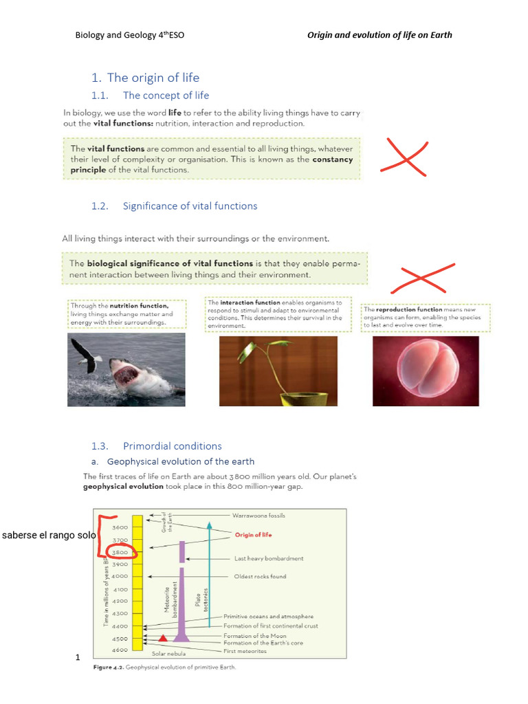 Biology Origin and Evolution of life 4ESO Notes | PDF | Evolution | Life