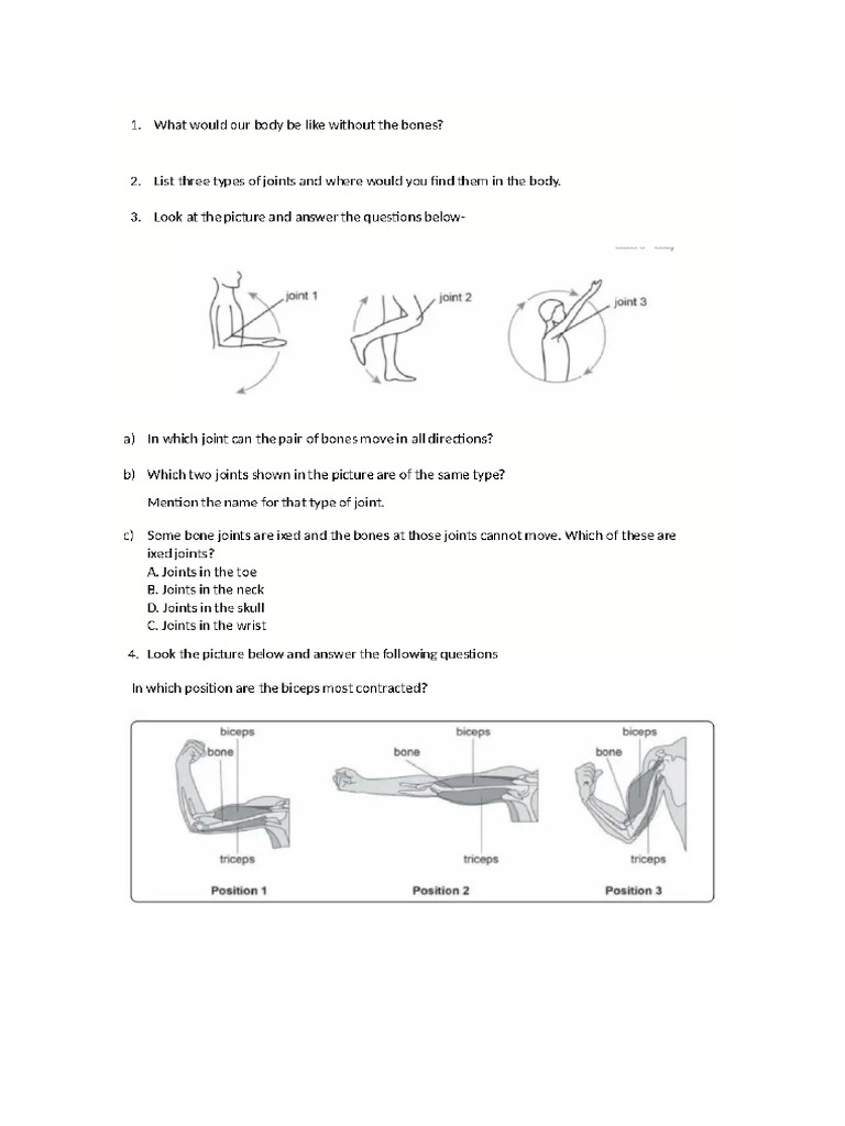 Muscle | PDF