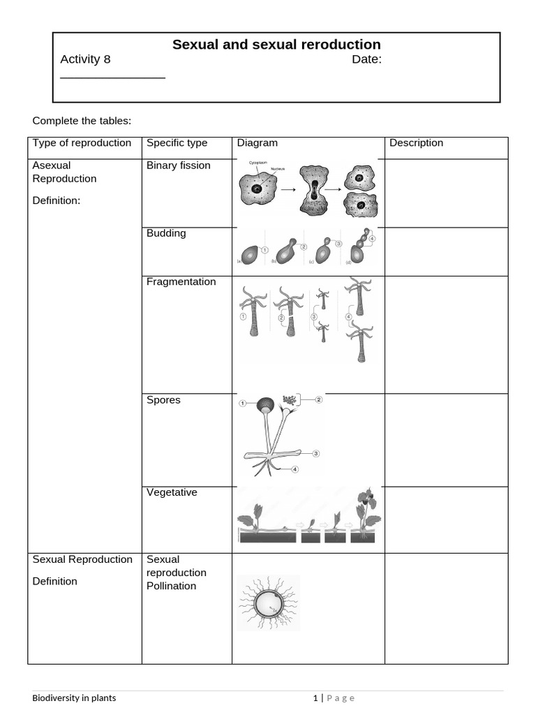 Activity 8 Asexual and Sexsual Reproduction | PDF