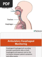 The DeMeester Score | PDF