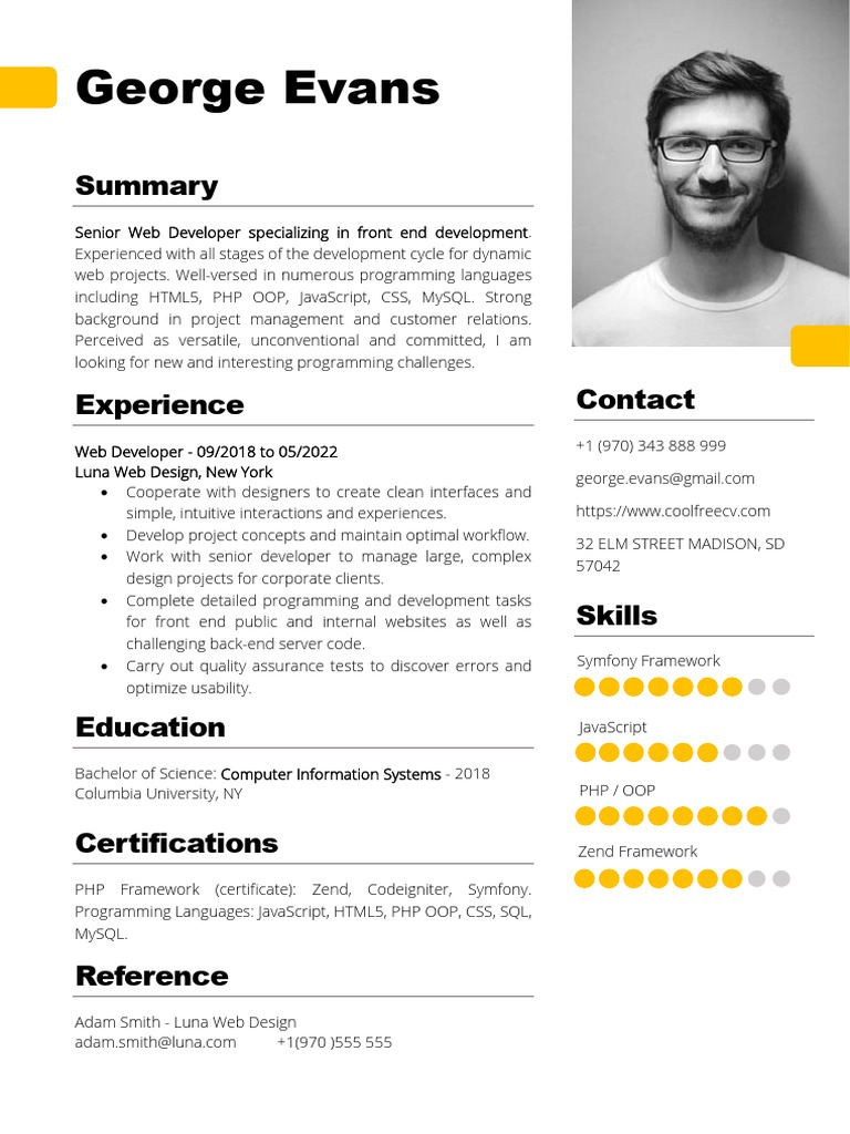 CV Template 0004 | PDF