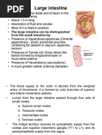 Sigmoid Colon Length and Anatomy | PDF | Large Intestine | Rectum